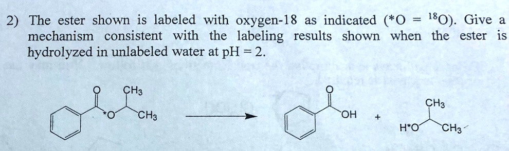 SOLVED: 2) The ester shown is labeled with oxygen-18 as indicated (*0 ...