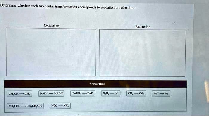 Solved Texts Determine Whether Each Molecular Transformation