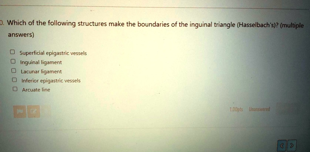 SOLVED: Which of the following structures make up the boundaries of ...