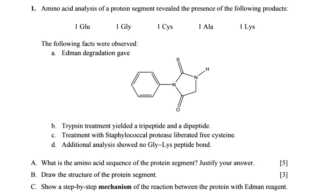 SOLVED: Amino acid analysis of a protein segment revealed the presence ...