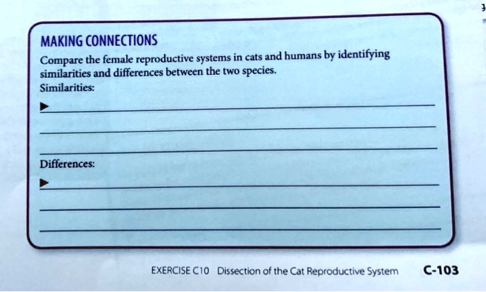 MAKING CONNECTIONS Compare the female reproductive systems in cats and ...