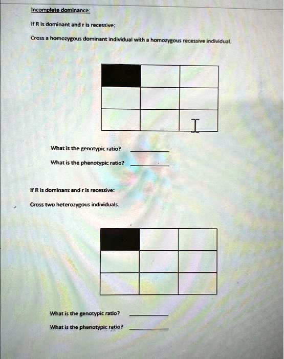 SOLVED: Incomplete dominance: If R is dominant and r is recessive ...