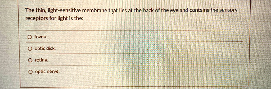 The thin, light-sensitive membrane that lies at the back of the eye and ...