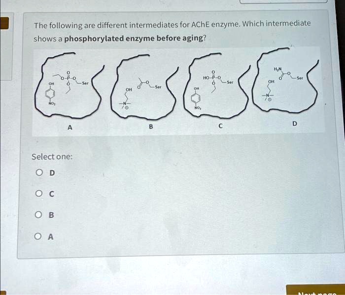 The following are different intermediates for AChE enzyme....