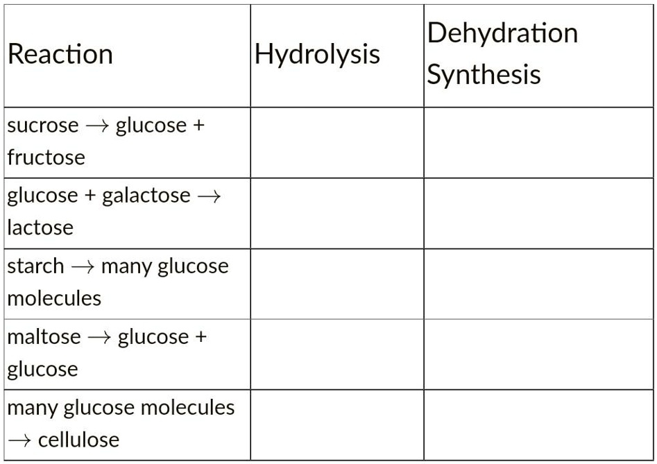 identify each reaction as hydrolysis or dehydration synthesis ...