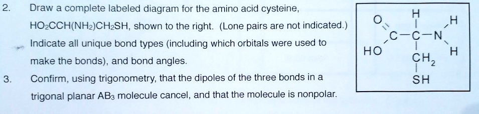 SOLVED: Draw a complete labeled diagram for the amino acid cysteine ...