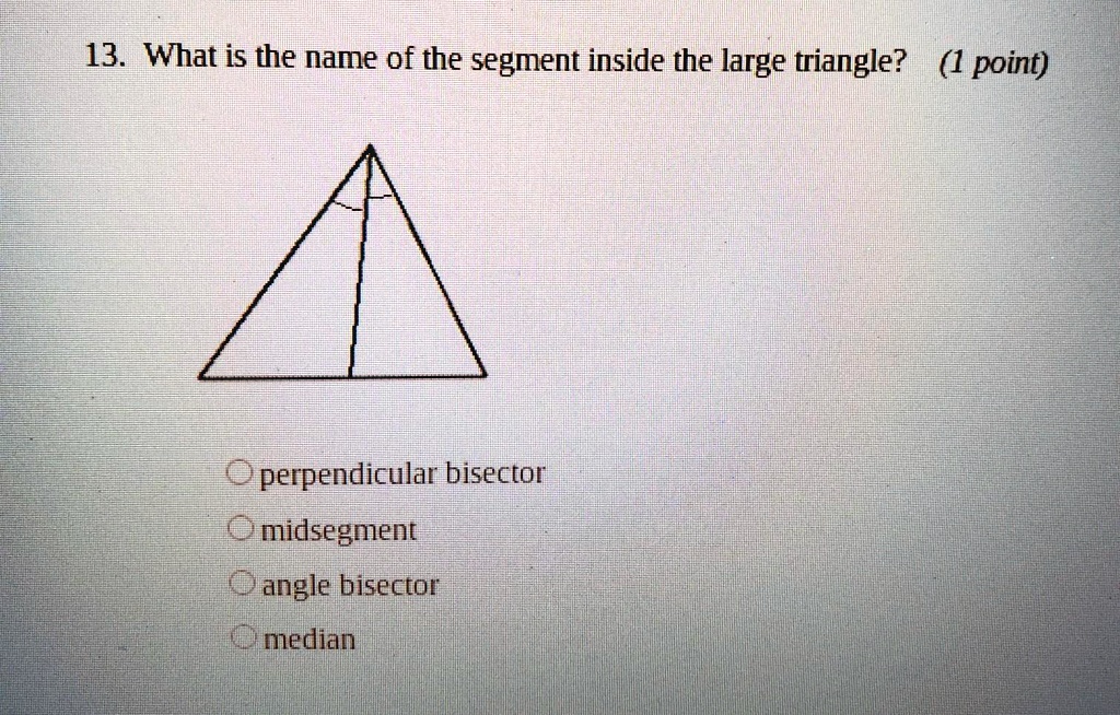 SOLVED: Please help me........ 13. What is the name of the segment inside the large triangle? (1 ...