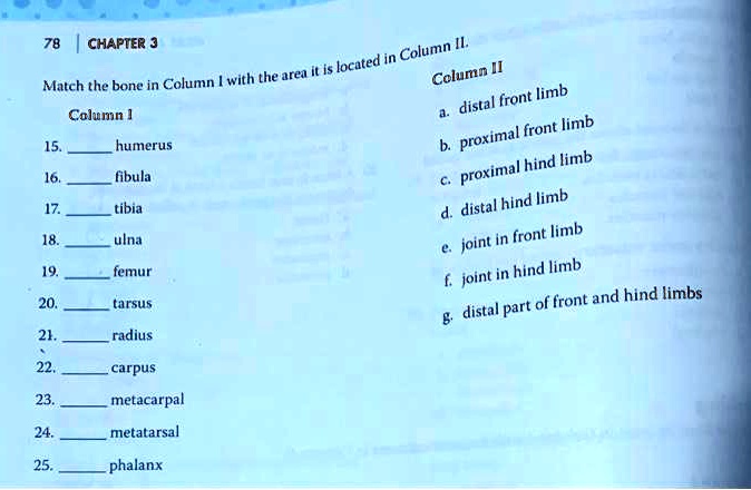 Solved 78chapter3 Column Ii A Distal Front Limb B Proximal Front Limb