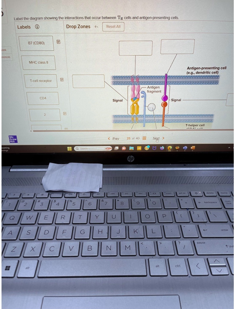 SOLVED: Label the diagram showing the interactions that occur between T ...