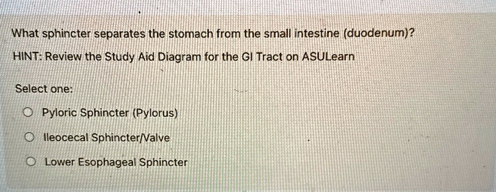 What sphincter separates the stomach from the small...