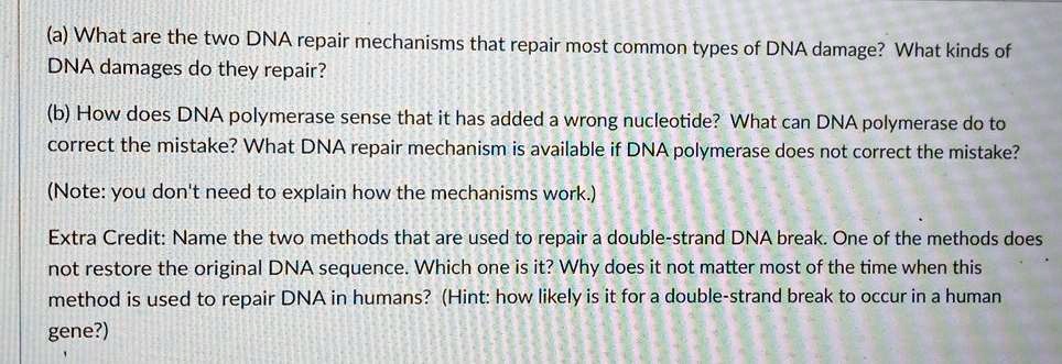 (a) What are the two DNA repair mechanisms that repair most common ...