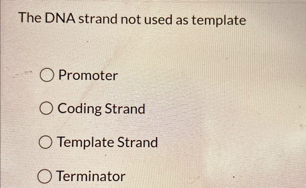 SOLVED: The DNA strand not used as template Promoter Coding Strand ...