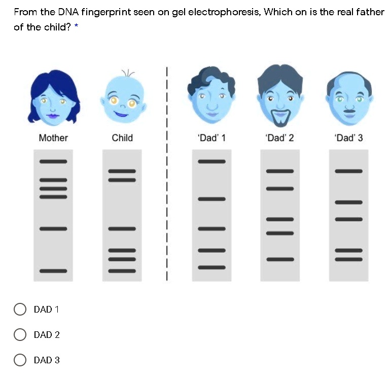 From the DNA fingerprint seen on gel electrophoresis, Which on is the ...