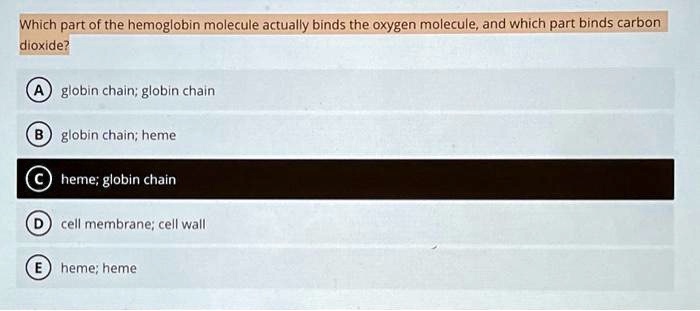 SOLVED: Which part of the hemoglobin molecule actually binds the oxygen ...