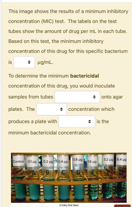 this image shows the results of a minimum inhibitory concentration mic ...