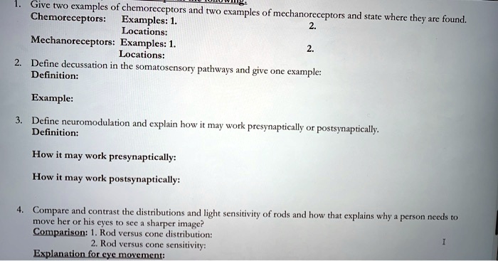 cive hvo examples of chemoreceptors and two exampl les of ...