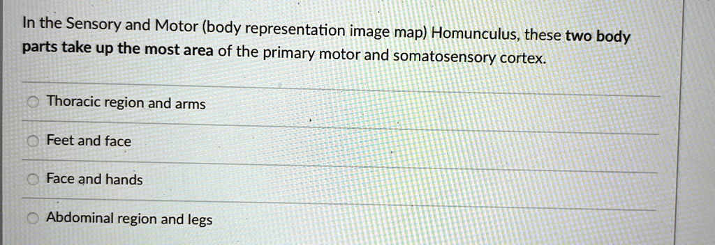 In the Sensory and Motor (body representation image map) Homunculus ...