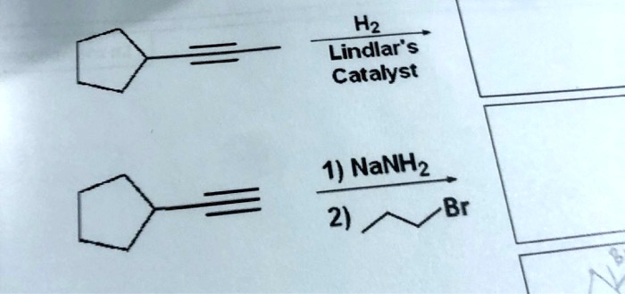 SOLVED: Hz Lindlar Catalyst ZHNEN 2) Br