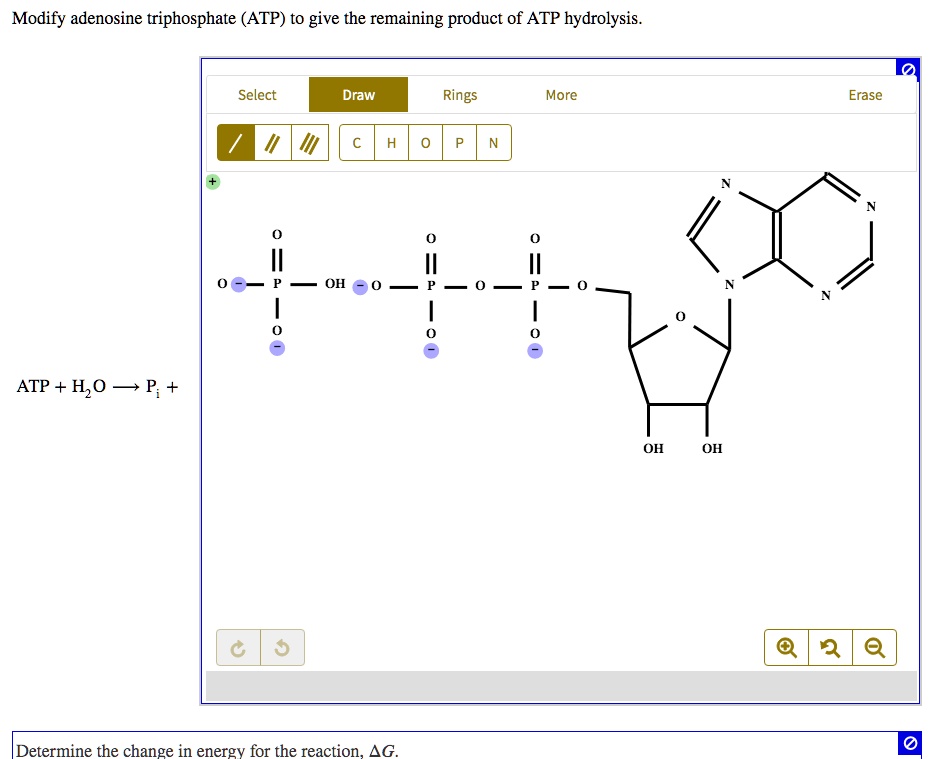 modify adenosine triphosphate atp to give the remaining product of atp ...