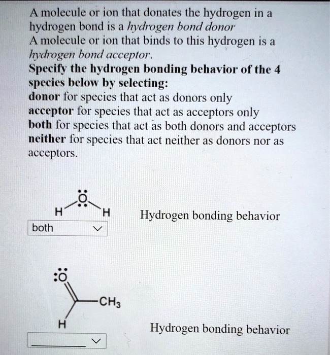 SOLVED: A molecule or ion that donates the hydrogen in a hydrogen bond ...