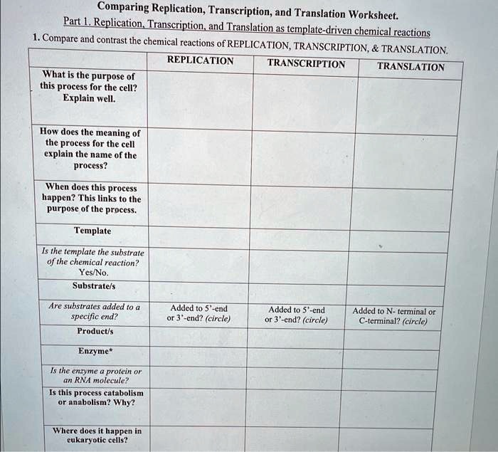 SOLVED: Comparing Replication,Transcription,and Translation Worksheet Part 1. Replication ...