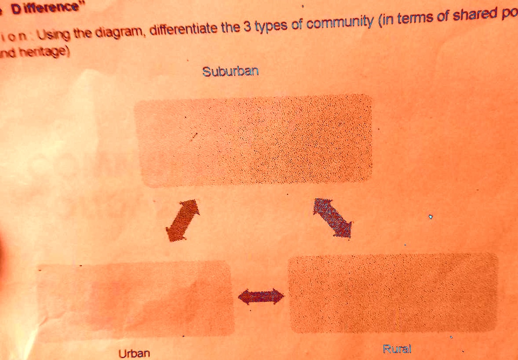 SOLVED: Using the diagram, differentiate the 3 types of community (in ...