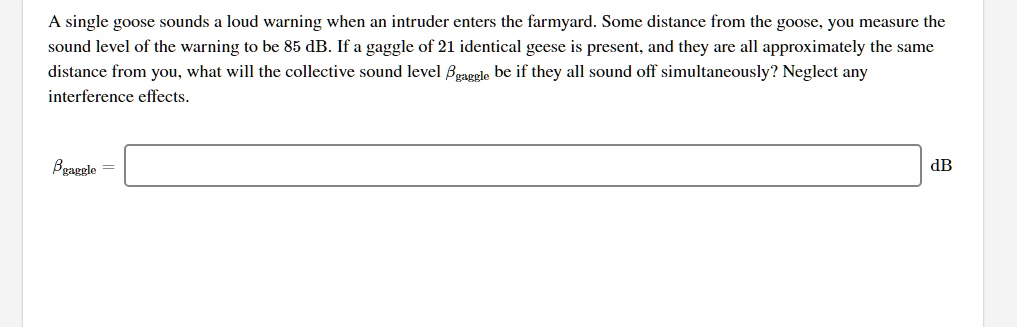 A single goose sounds a loud warning when an intruder enters the ...