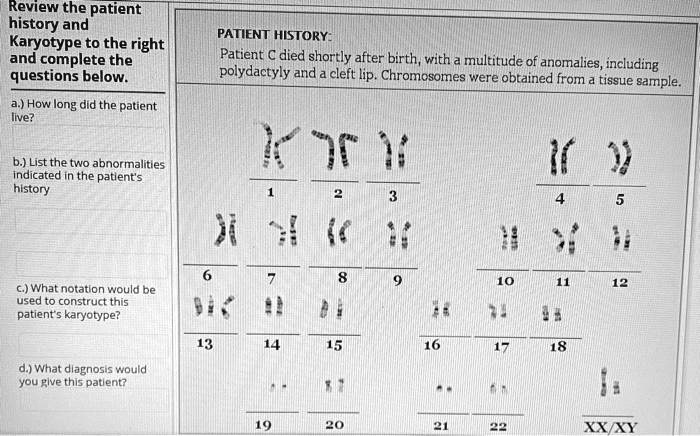 SOLVED: Review the patient history and Karyotype to the right and ...
