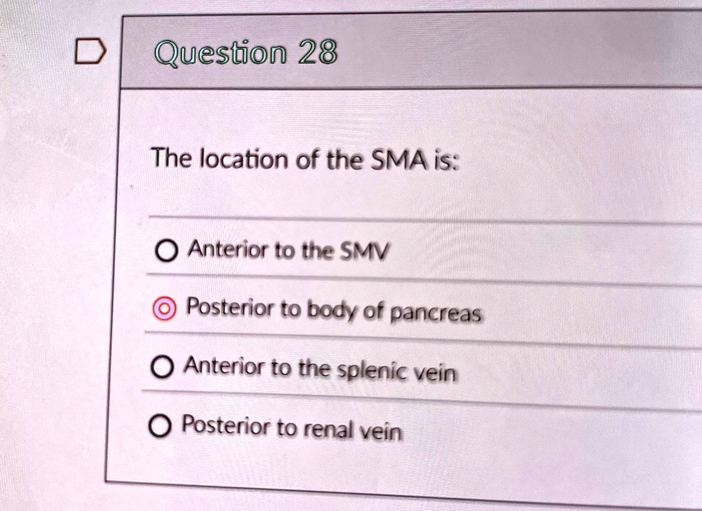 Question 28 The location of the SMA is: Anterior to the SMV Posterior ...