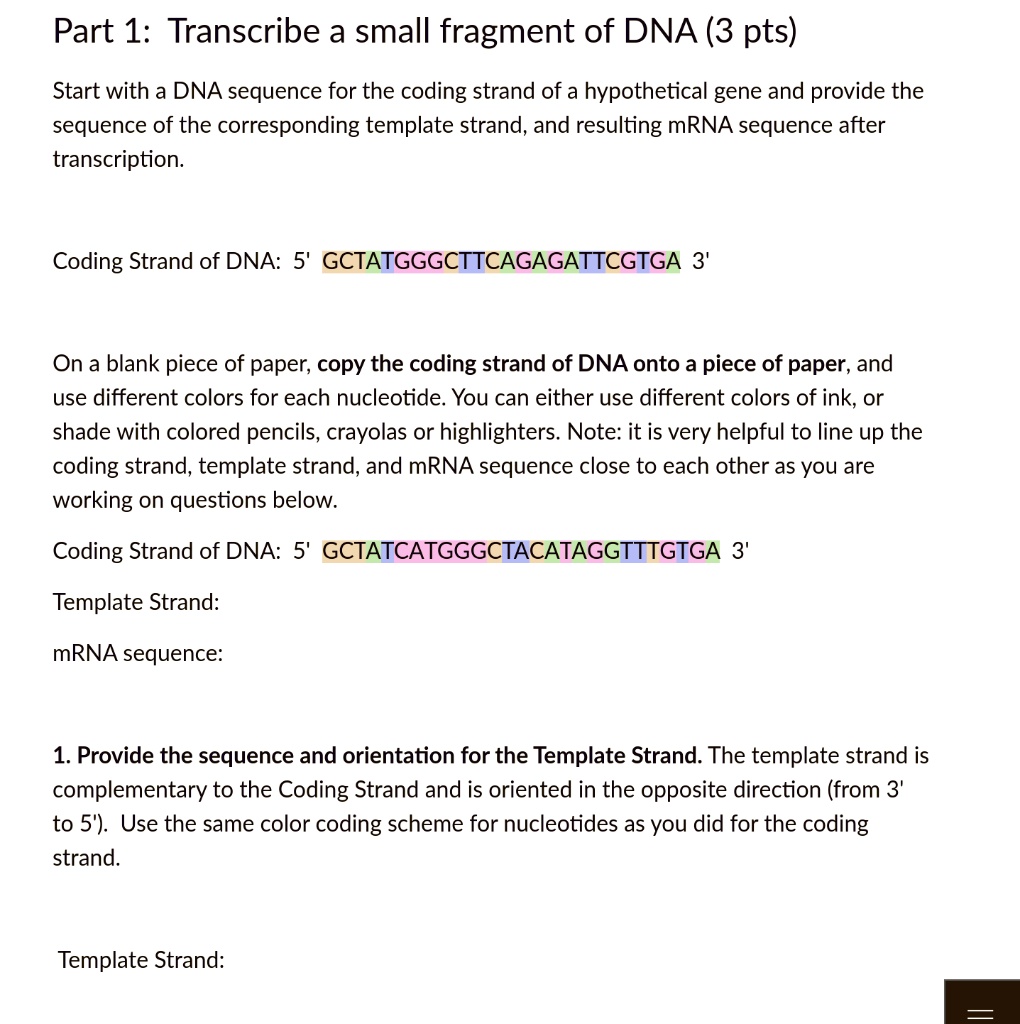 Part 1: Transcribe a small fragment of DNA (3 pts) Start with a DNA ...