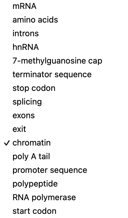 SOLVED: mRNA amino acids introns hnRNA 7-methylguanosine cap terminator ...