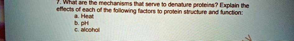 SOLVED: What are the mechanisms that serve to denature proteins ...