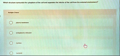which structure surrounds the cytoplasm of the cell and separates the ...