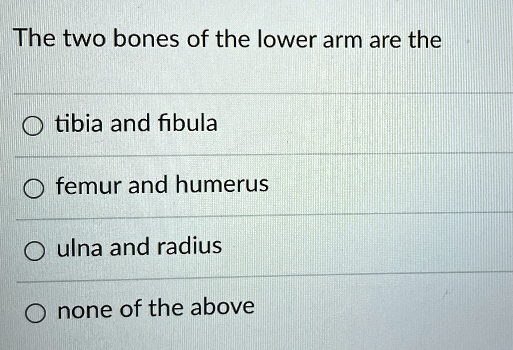 the two bones of the lower arm are the tibia and fibula femur and ...