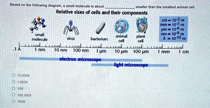 Based on the following diagram, a small molecule is about 10^-9 smaller ...