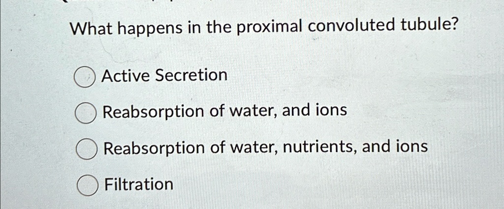 What happens in the proximal convoluted tubule? ? Active Secretion ...