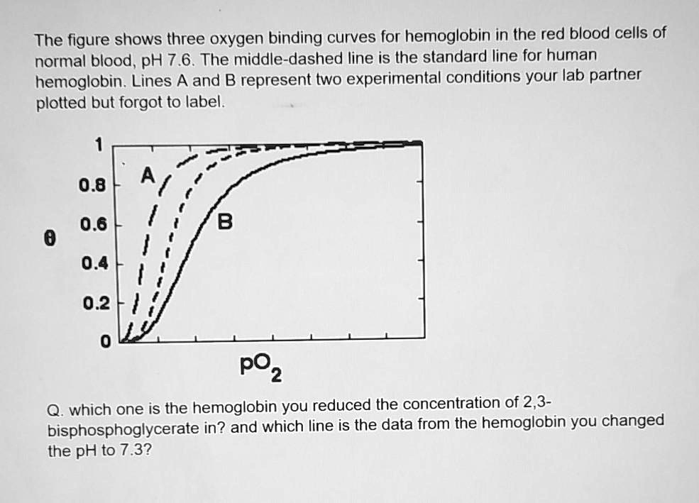 SOLVED: The figure shows three oxygen binding curves for hemoglobin in ...