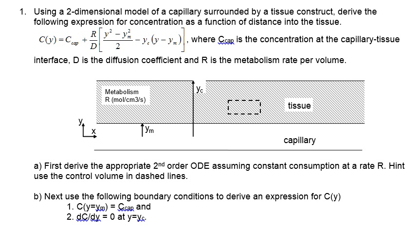 1. Using a 2-dimensional model of a capillary surrounded by a tissue ...