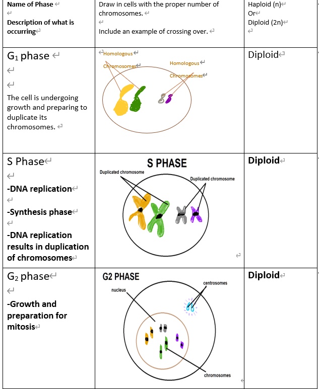 SOLVED: Text: Name of Phase Draw in cells with the proper number of ...