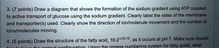 SOLVED: (7 points) Draw diagram that shows the formation of the sodium ...
