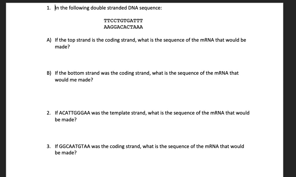 1. In the following double stranded DNA...