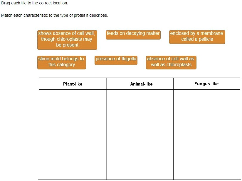 SOLVED: 'Match each characteristic to the type of protist it describes ...