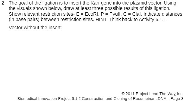 the goal of the ligation is to insert the kan gene into the plasmid ...