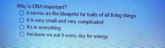 SOLVED: Why is DNA important? 0 it serves as the blueprint for traits ...