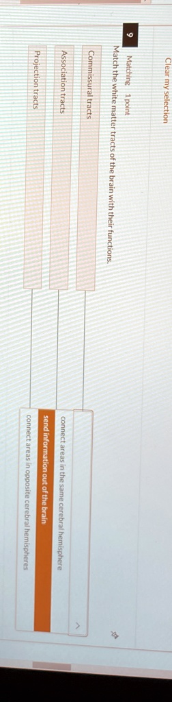 clear my selection 9 matching 1 point match the white matter tracts of the brain with their ...