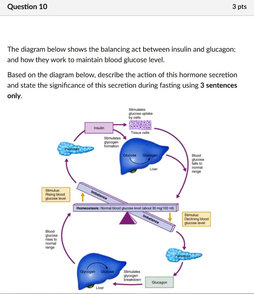 SOLVED: The diagram below shows the balancing act between insulin and ...