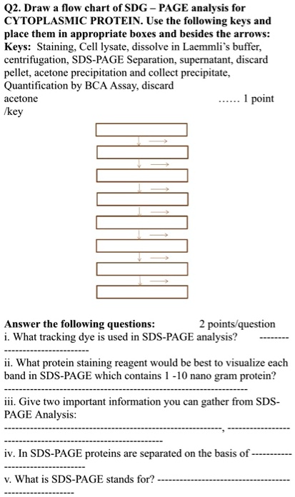SOLVED: Q2: Draw a flow chart of SDS-PAGE analysis for CYTOPLASMIC ...