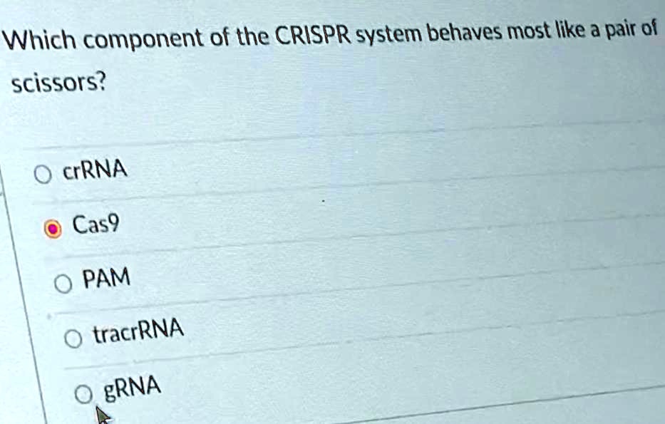 SOLVED:Which component of the CRISPR system behaves most like a pair of scissors? 0 crRNA Cas9 ...