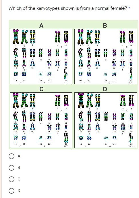 SOLVED: Which of the karyotypes shown is from a normal female? A B C D ...