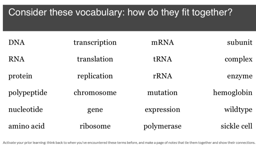 SOLVED: Consider these vocabulary: how do they fit together? DNA ...